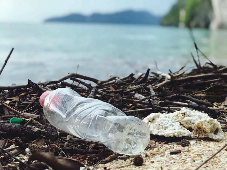 What’s the solution to plastic pollution? - Content Sherpa